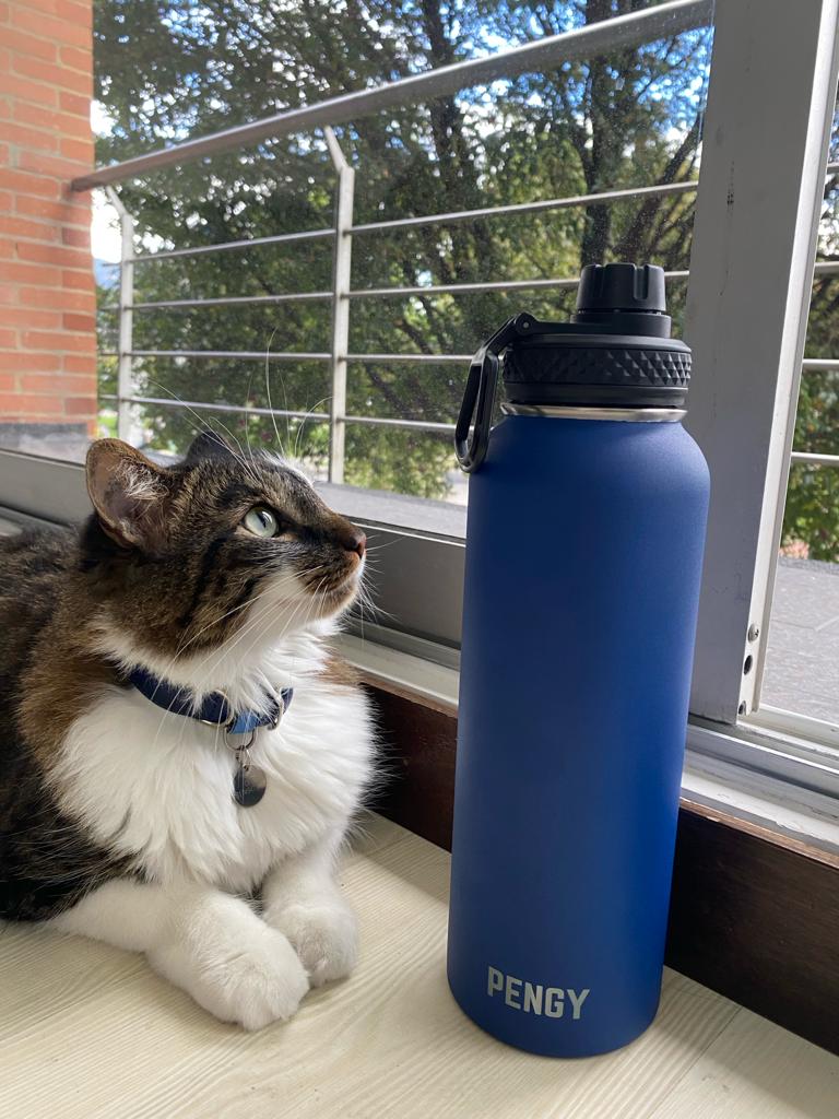 Pengy - Termos térmicos que mantienen el agua fría más de 24 horas. – PENGY