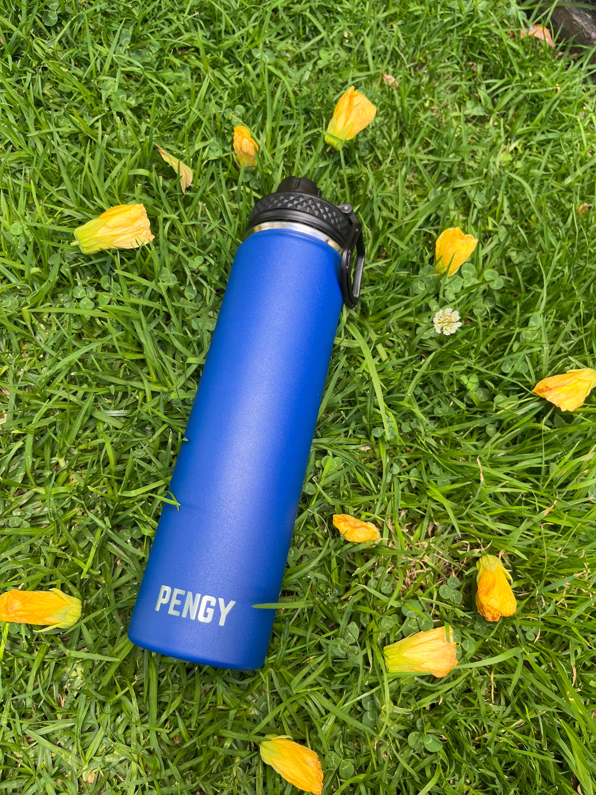 Pengy - Termos térmicos que mantienen el agua fría más de 24 horas.