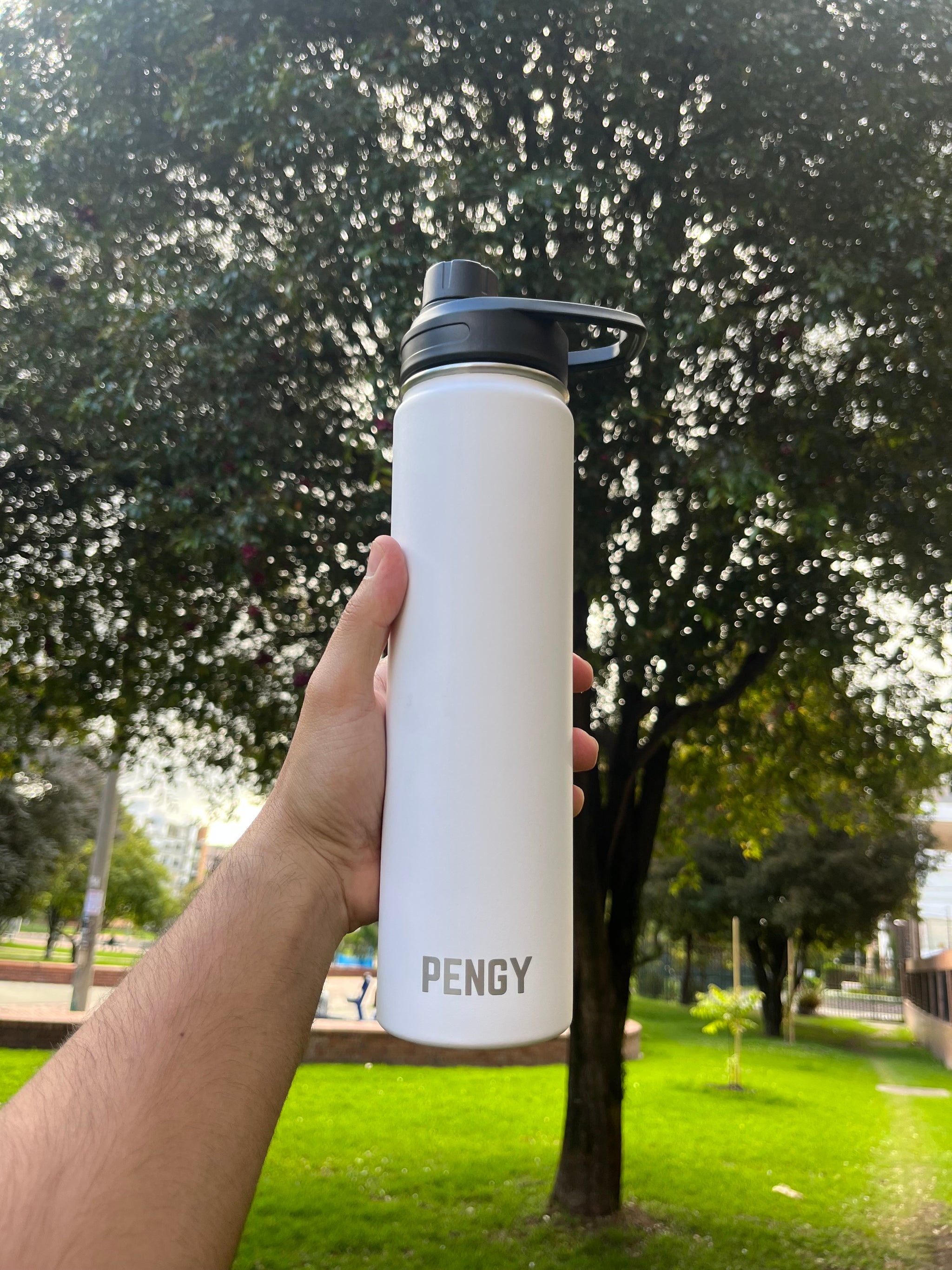 Pengy - Termos térmicos que mantienen el agua fría más de 24 horas.