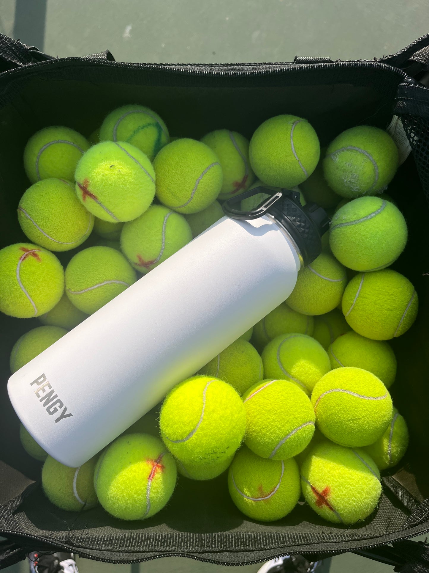 Pengy - Termos térmicos que mantienen el agua fría más de 24 horas.